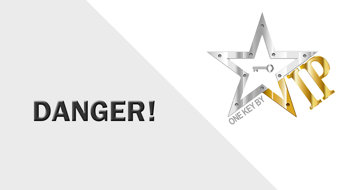 Artist & Danger: Opinions of the VIPs